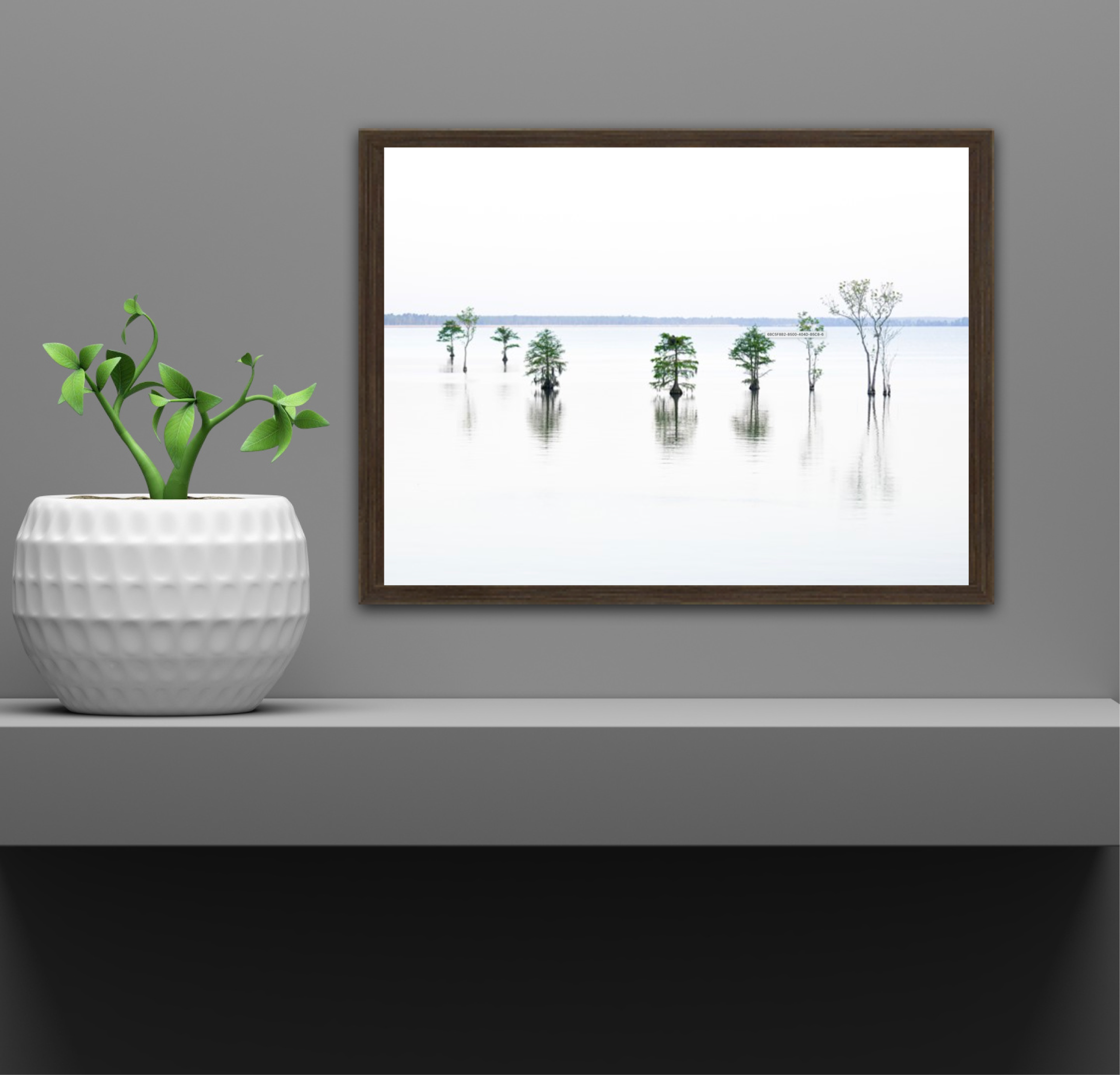 Lake Moultrie white – Mike Nocher Art