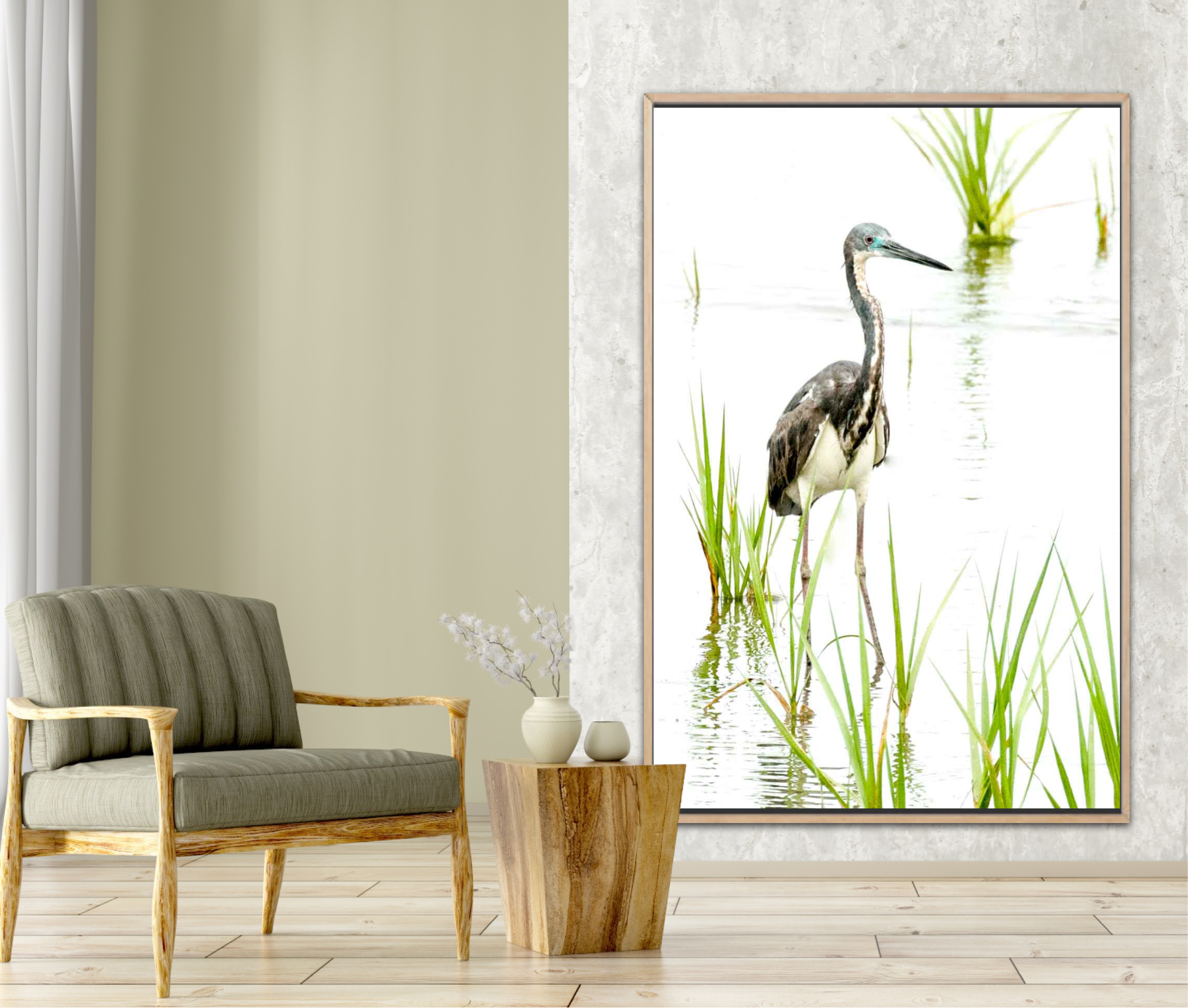 Tri Color Heron - Portrait – Mike Nocher Art
